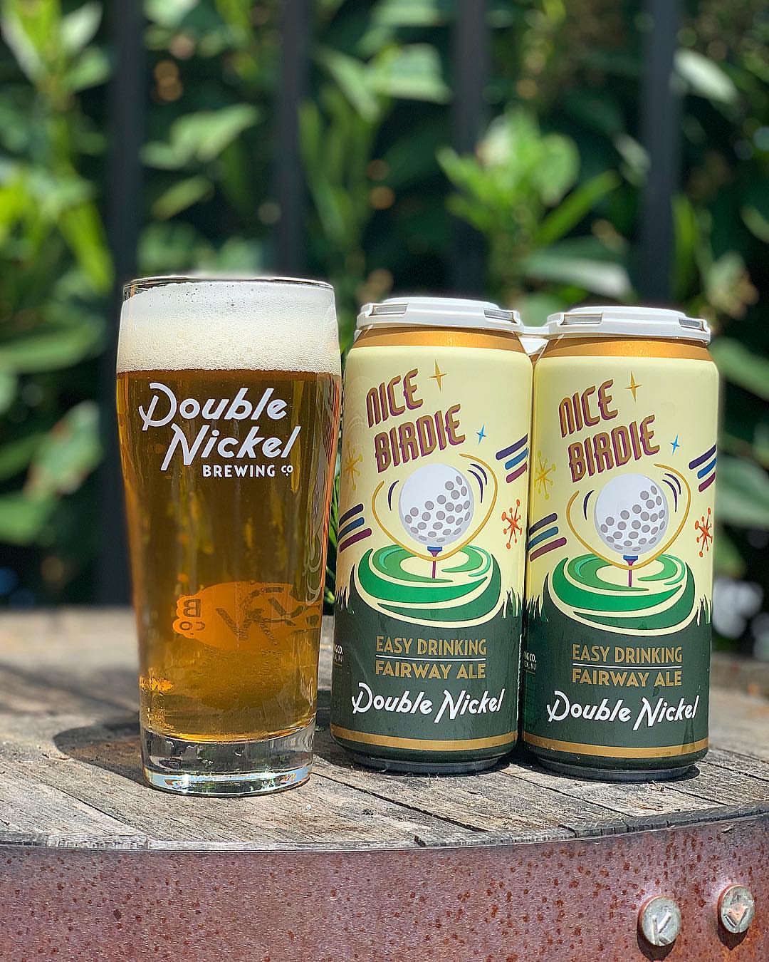Craft Beer Review: Double Nickel Nice Birdie – Video Games | Craft Beer ...